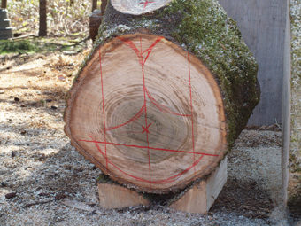 Cutting Bowl Blanks from a Tree - Woodworking | Blog | Videos | Plans ...